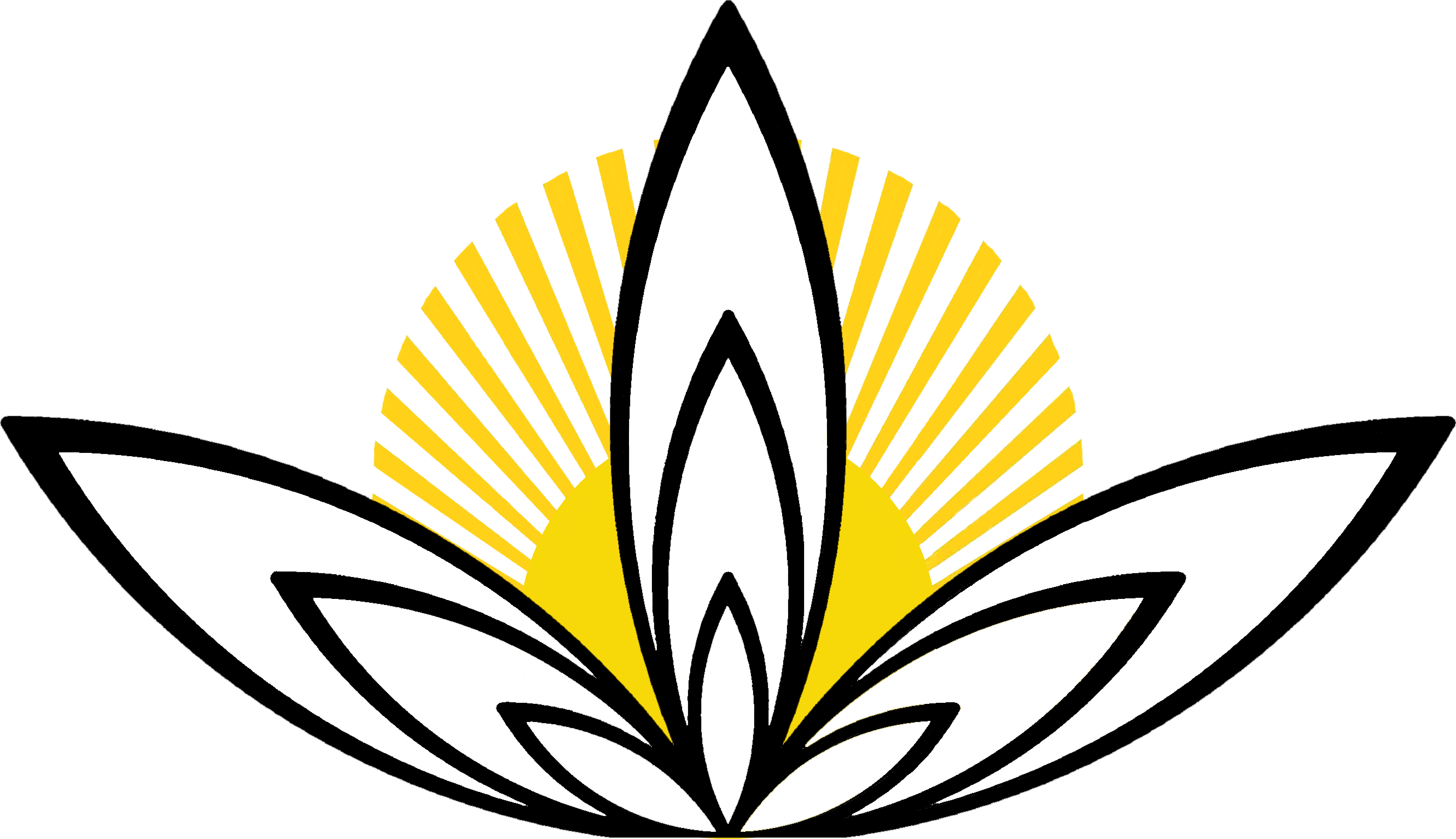 Wellness Without Walls – Patient Advocacy